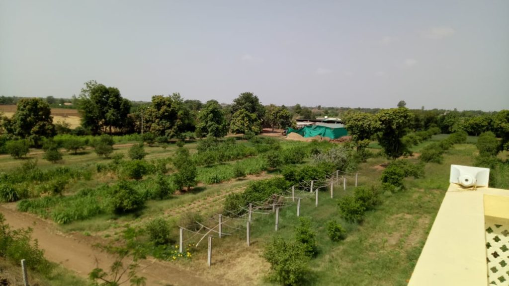 Visit to DNK Organic Farm | Interview of Dr. Devendra Kalaria ...